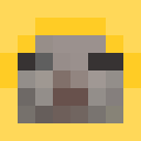 Player head