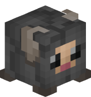 Gray Sheep Skin price