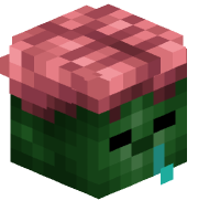 Big Brain Zombie Skin price