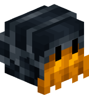 Hermit Graphite Ammonite Skin price